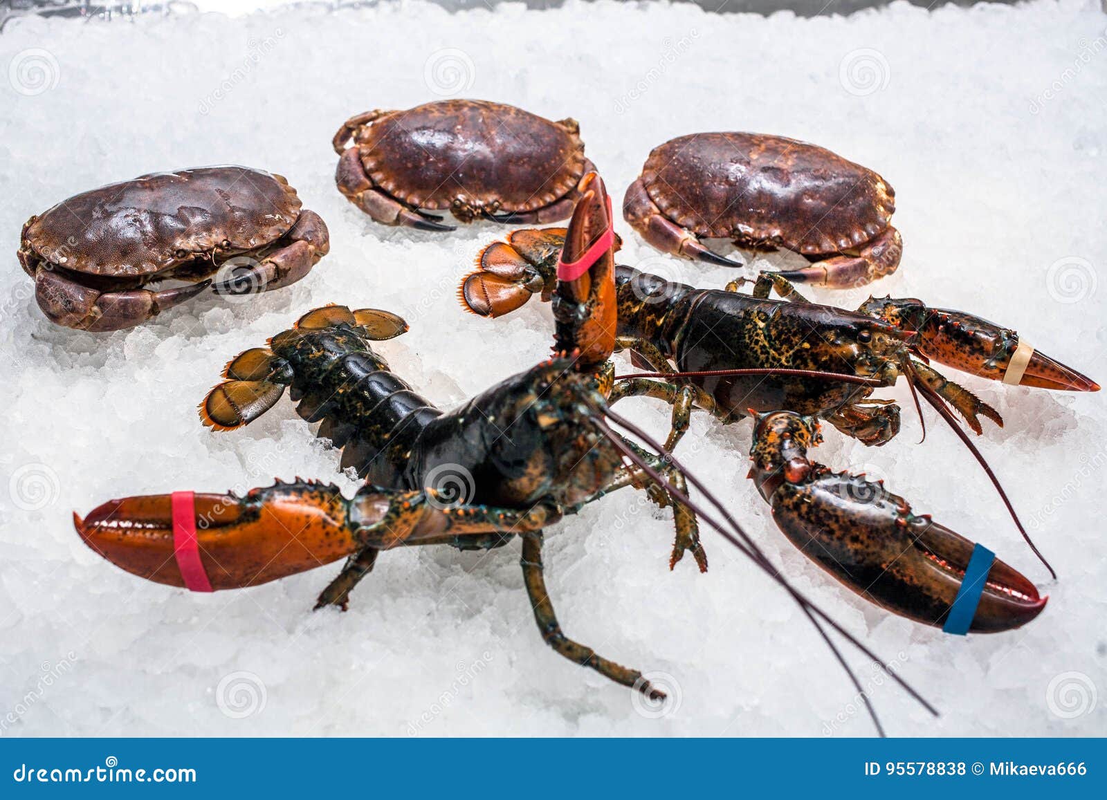 Two Live Lobsters and Three Crabs Stock Photo - Image of cuisine ...