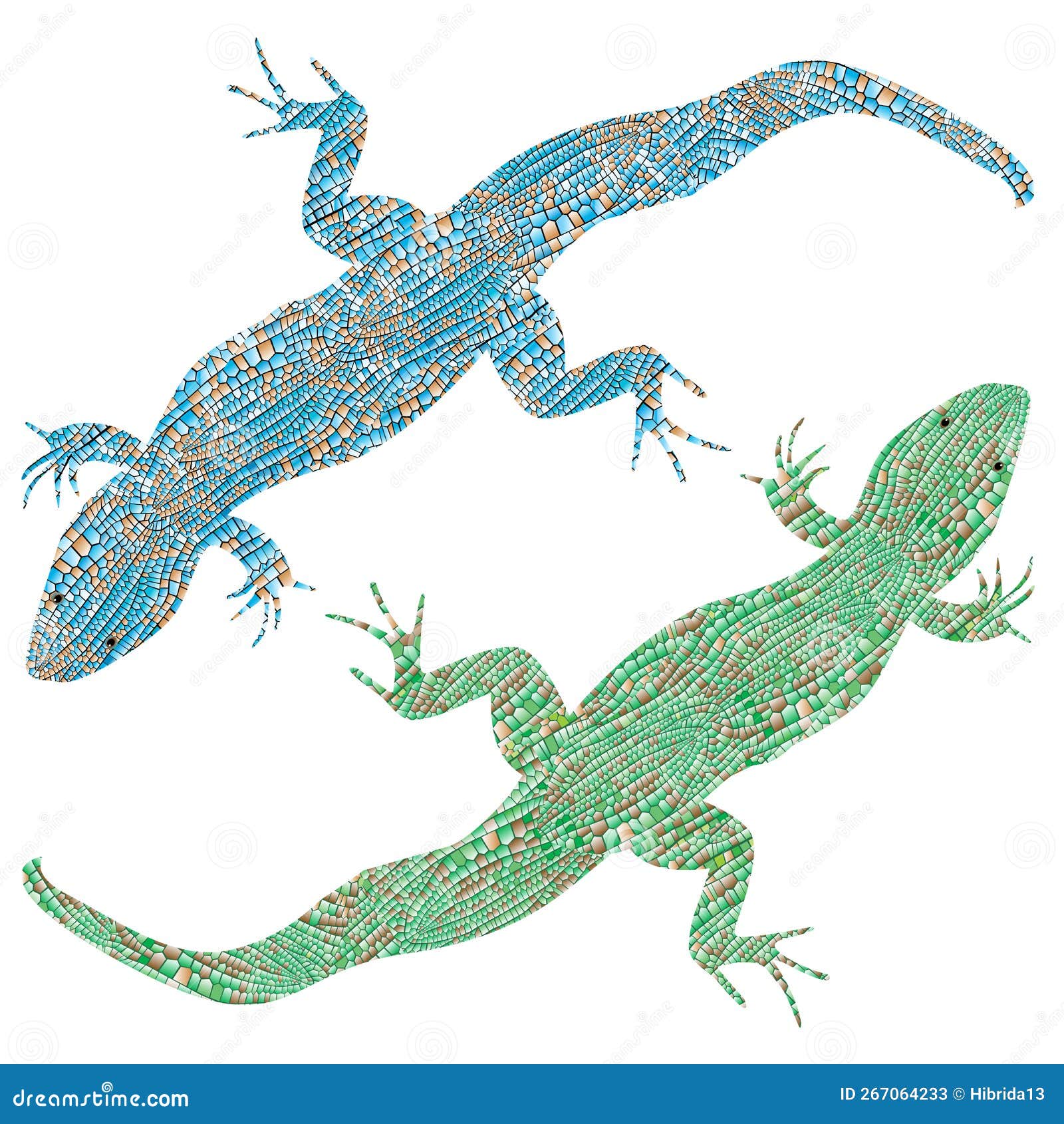 Two Lizards in Realistic Style Isolated Stock Vector - Illustration of ...