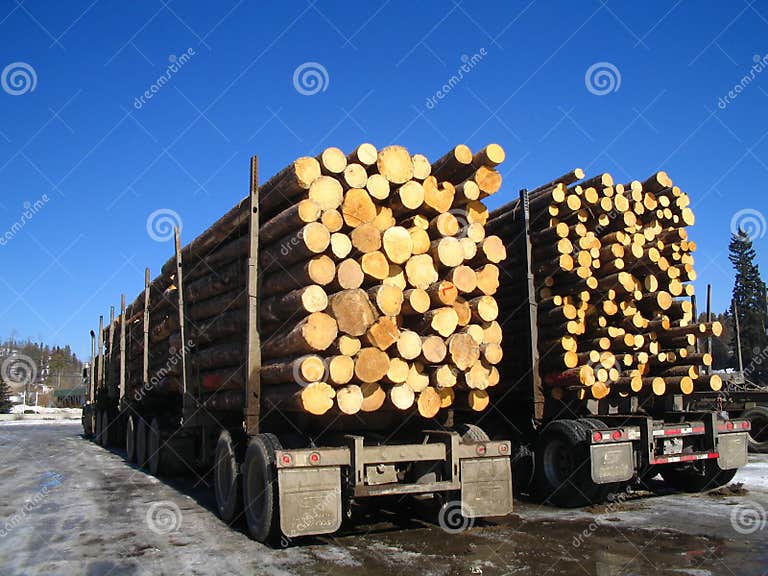 Two Logging Trucks Along Side of Each Other Stock Image - Image of ...