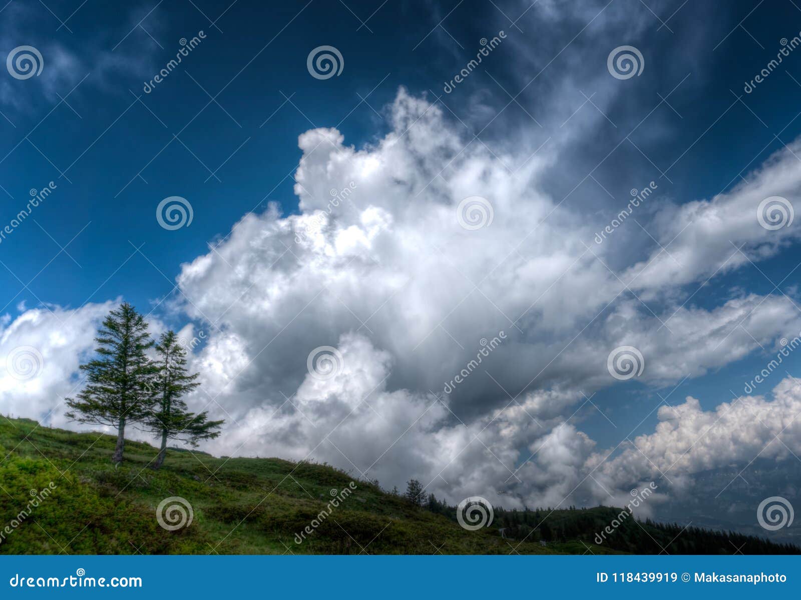 Two Lone Pine Trees on the Horizon Under a Wild and Expressive Cloudy ...