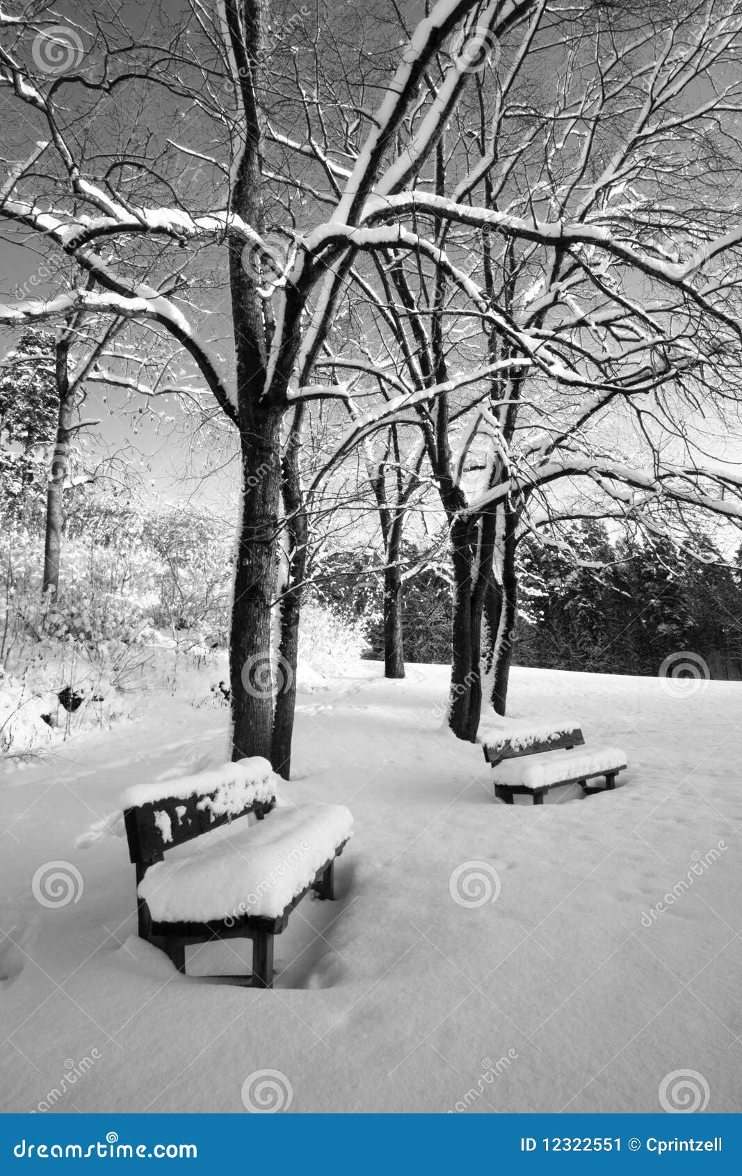 Benches, Covered With Lichen, On One Of Streets Of Abandoned Ghost Town ...