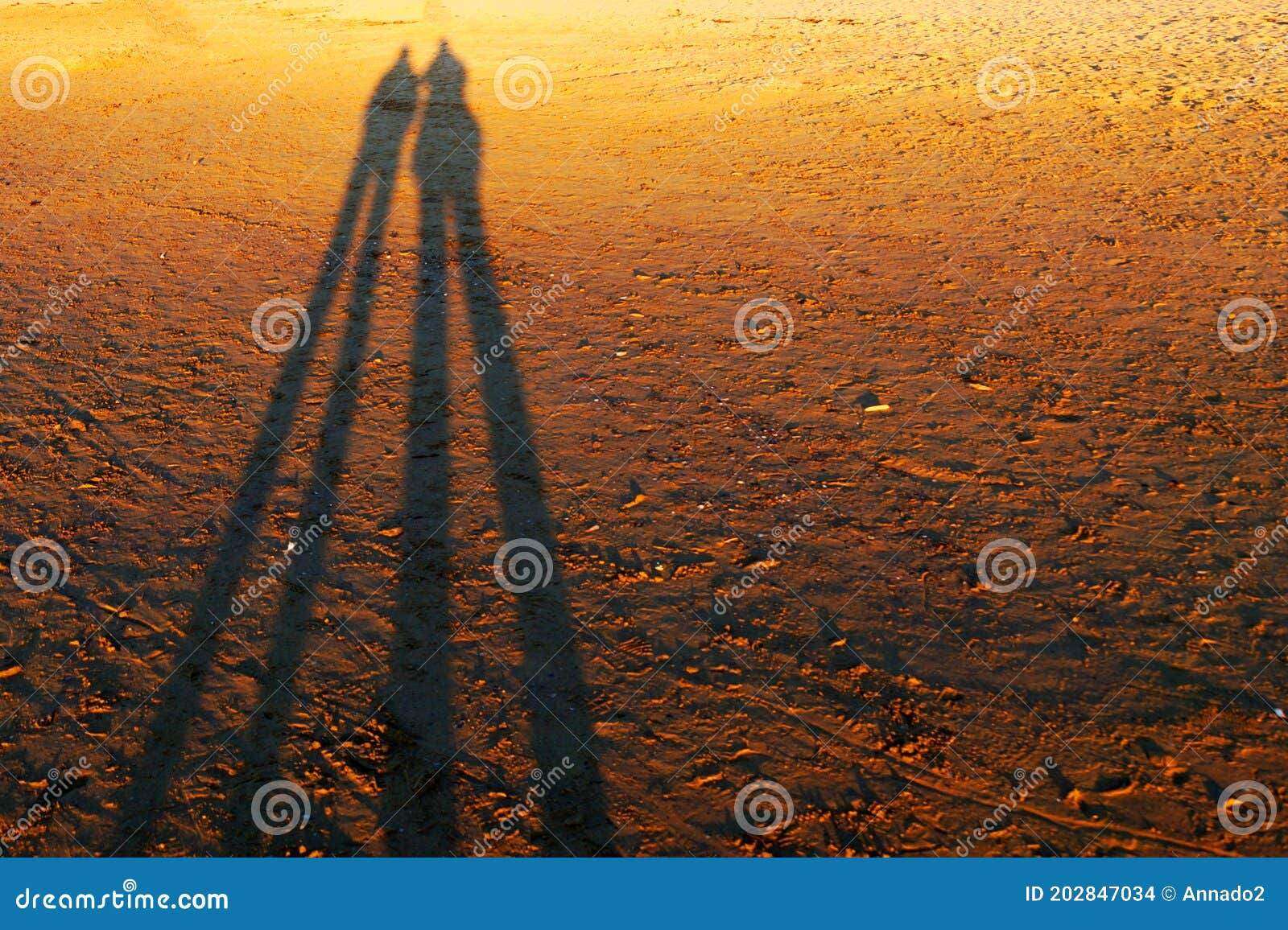 Two Long Shadows of People on the Sand at Sunset Stock Photo - Image of ...