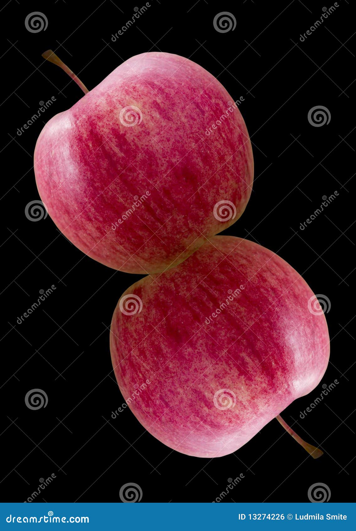 Two love apples. stock photo. Image of food, healthy - 13274226
