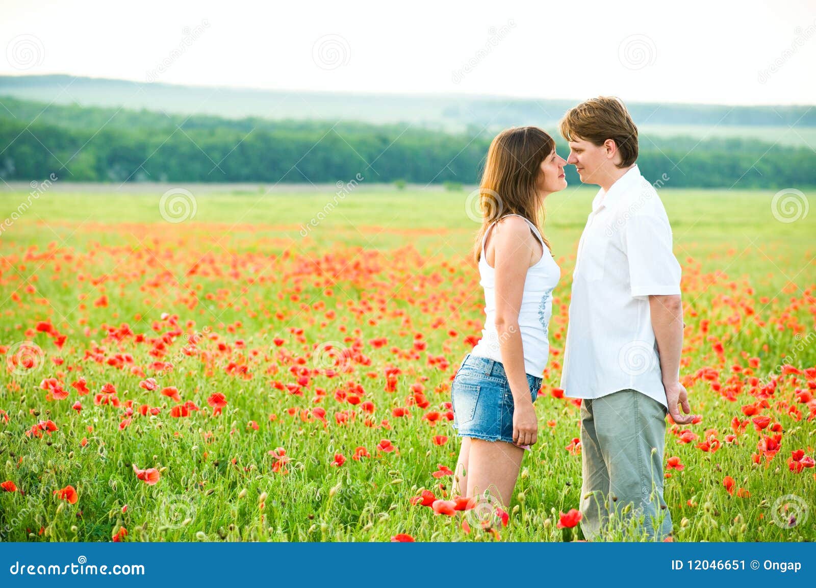 Two lovers stock image. Image of happy, adult, boyfriend - 12046651