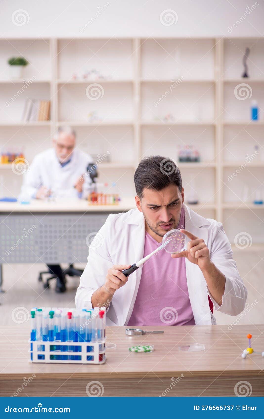 Two Male Chemists Working at the Lab Stock Image - Image of dish ...