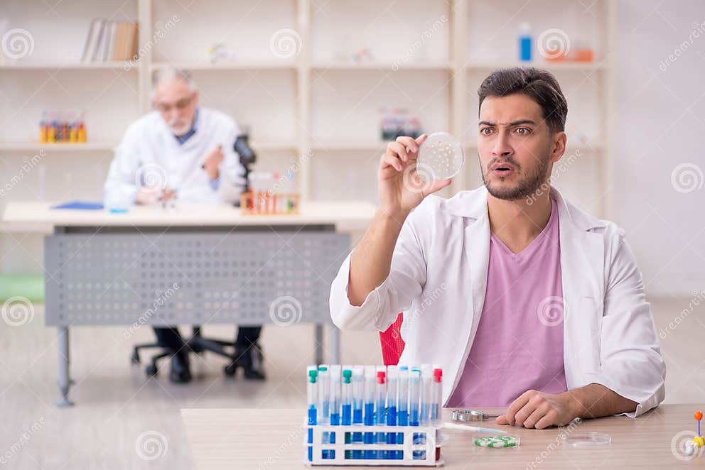Two Male Chemists Working at the Lab Stock Photo - Image of scientist ...