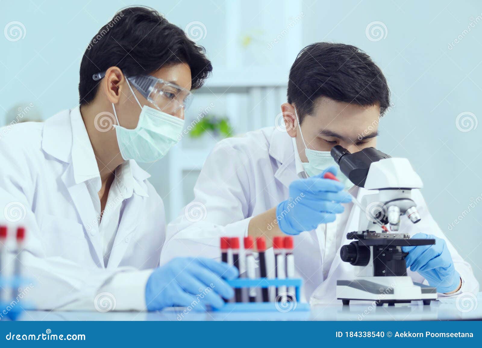 Two Male Scientists Working in Lab while Checking Result of Blood ...
