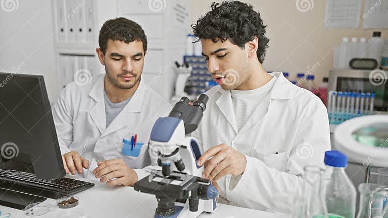 Two Male Scientists Working Together in a Laboratory, Using a ...