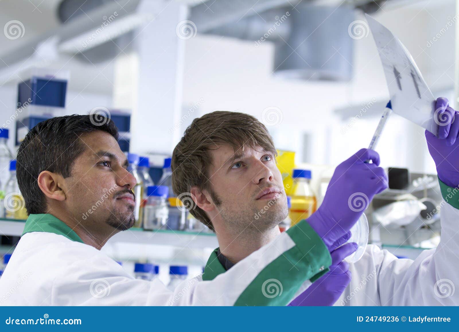 110 Biotech Students Stock Photos - Free & Royalty-Free Stock Photos ...