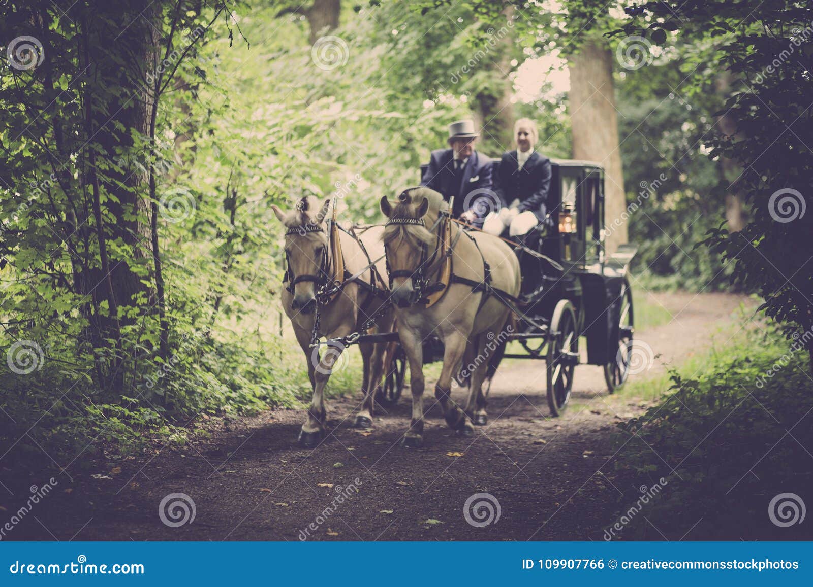 Two Man On A Carriage With Horse Picture. Image: 109907766