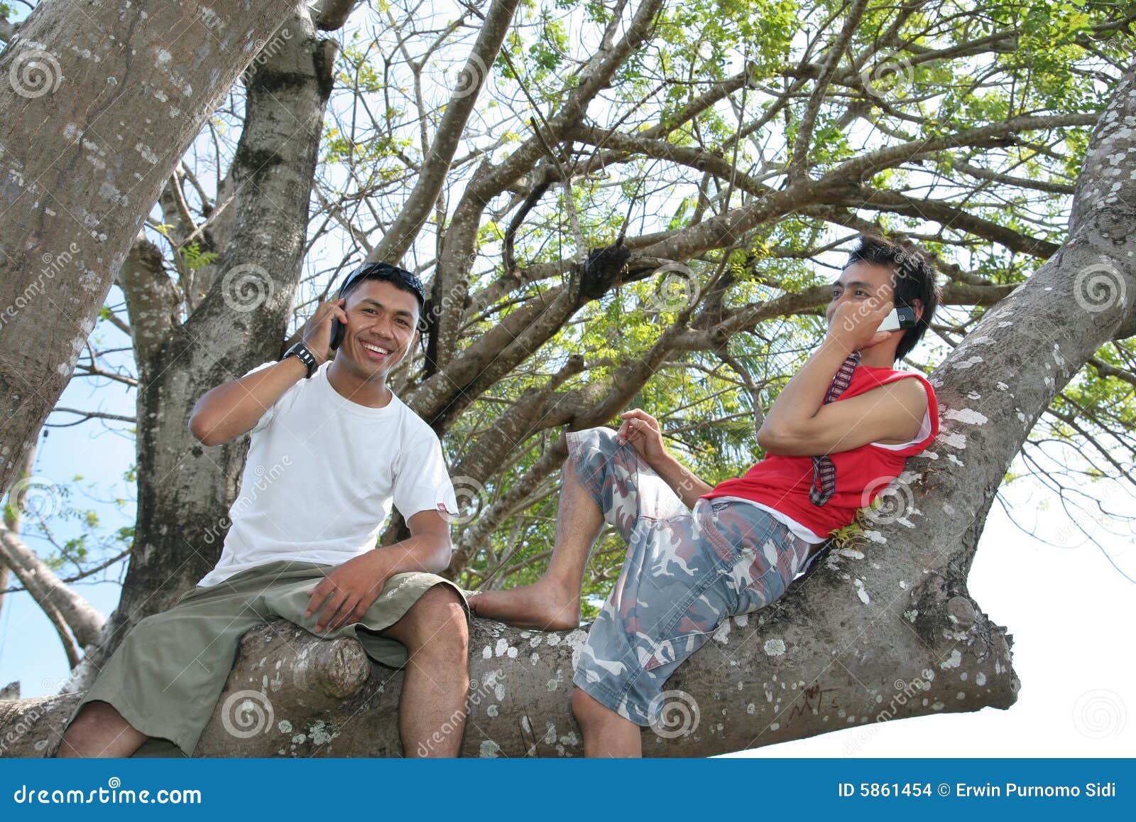 Two man having fun on tree stock photo. Image of smiling - 5861454