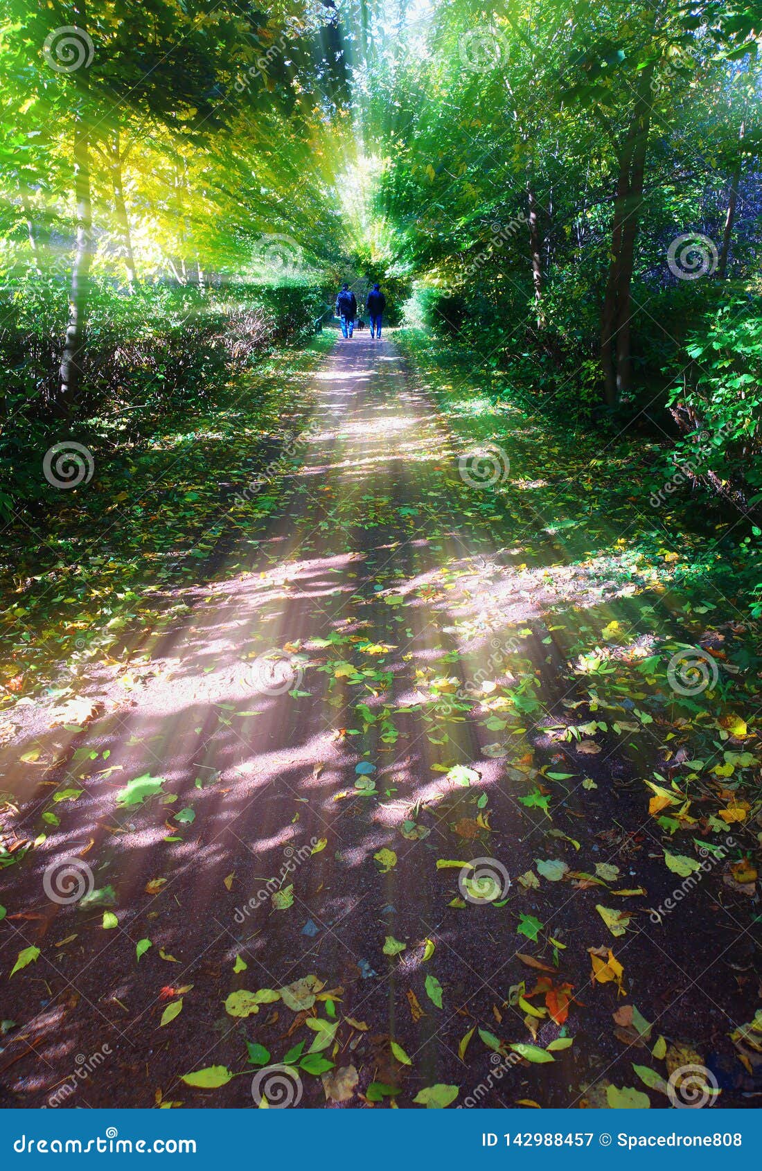 Two Man Walking in Autumn Park Background Stock Image - Image of ...