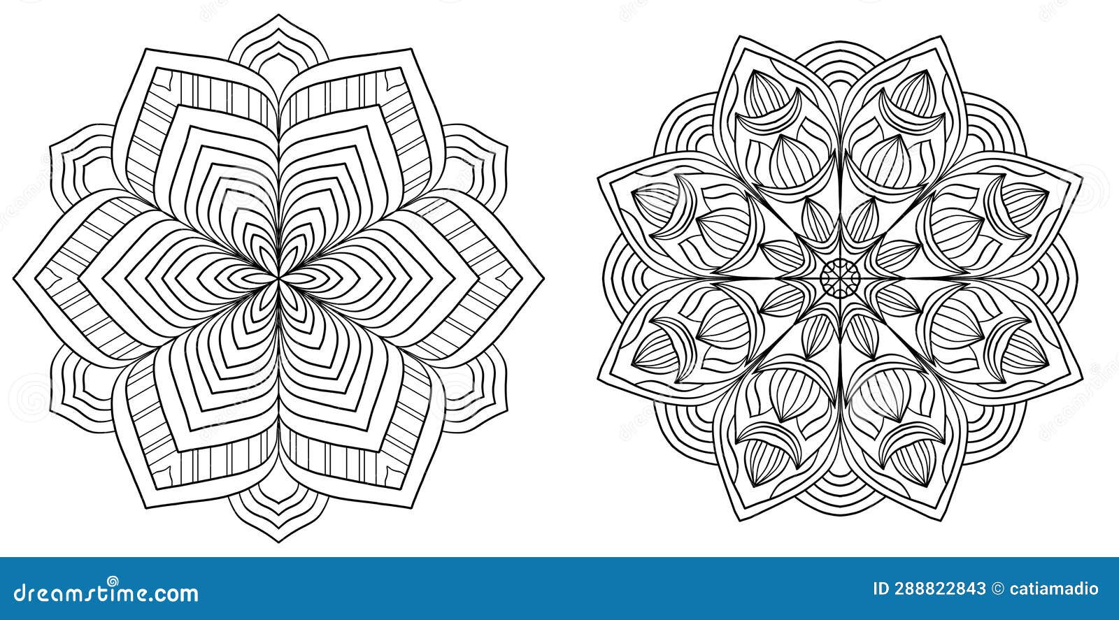Mandalas Pattern Cartoon Vector | CartoonDealer.com #78621141