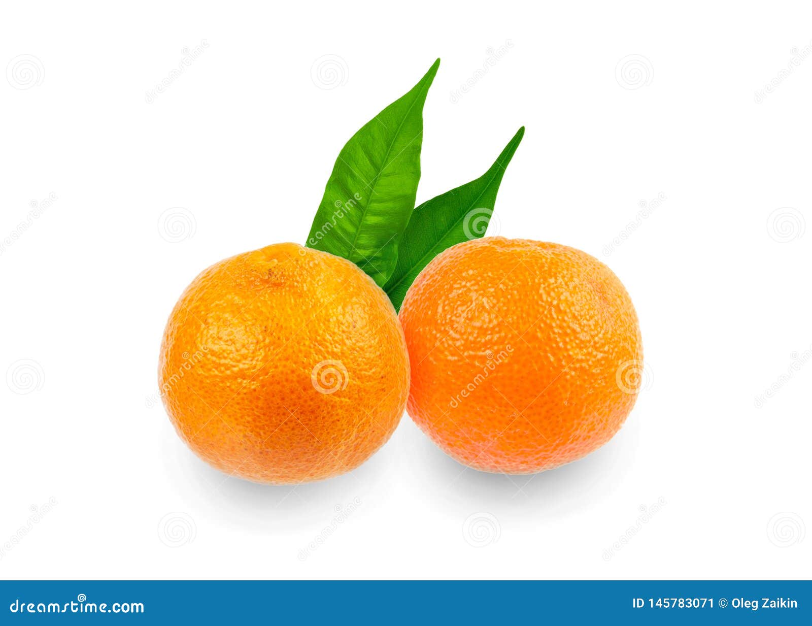Two Mandarin with Two Leaves on a White Background Close-up Stock Image ...