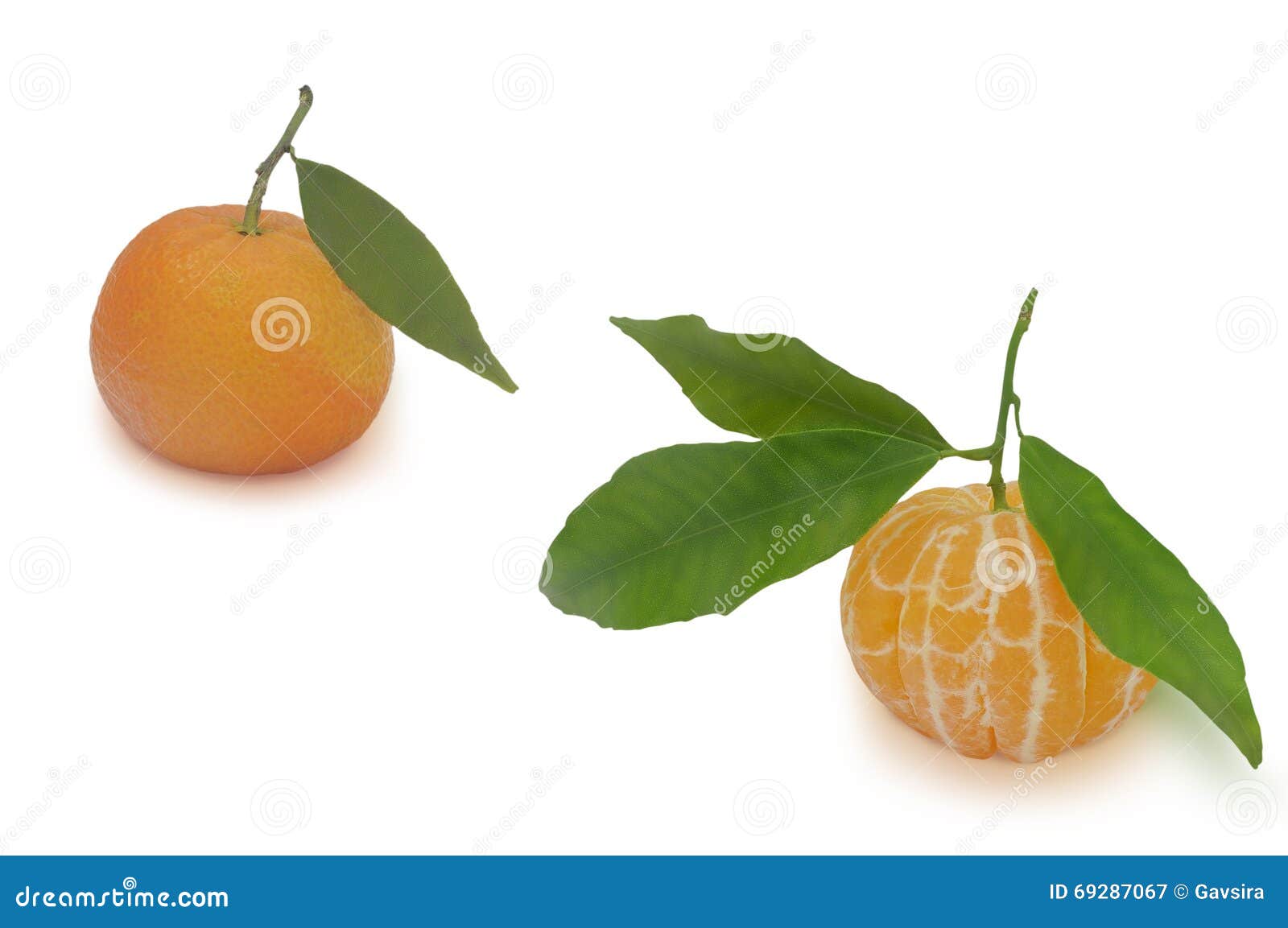 Two Mandarins on White Background Stock Image - Image of leaves, diet ...