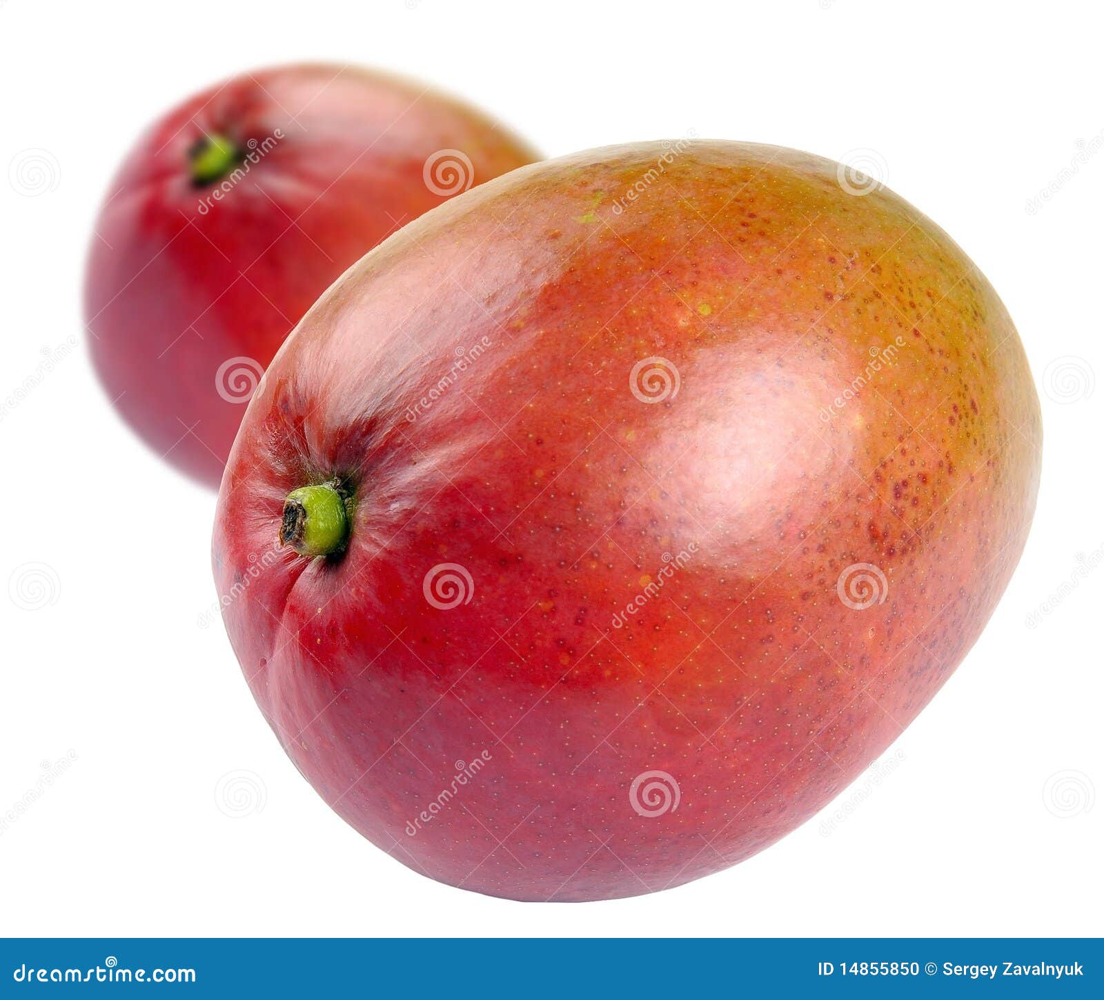 Two mango stock photo. Image of citrus, juice, vitamin - 14855850