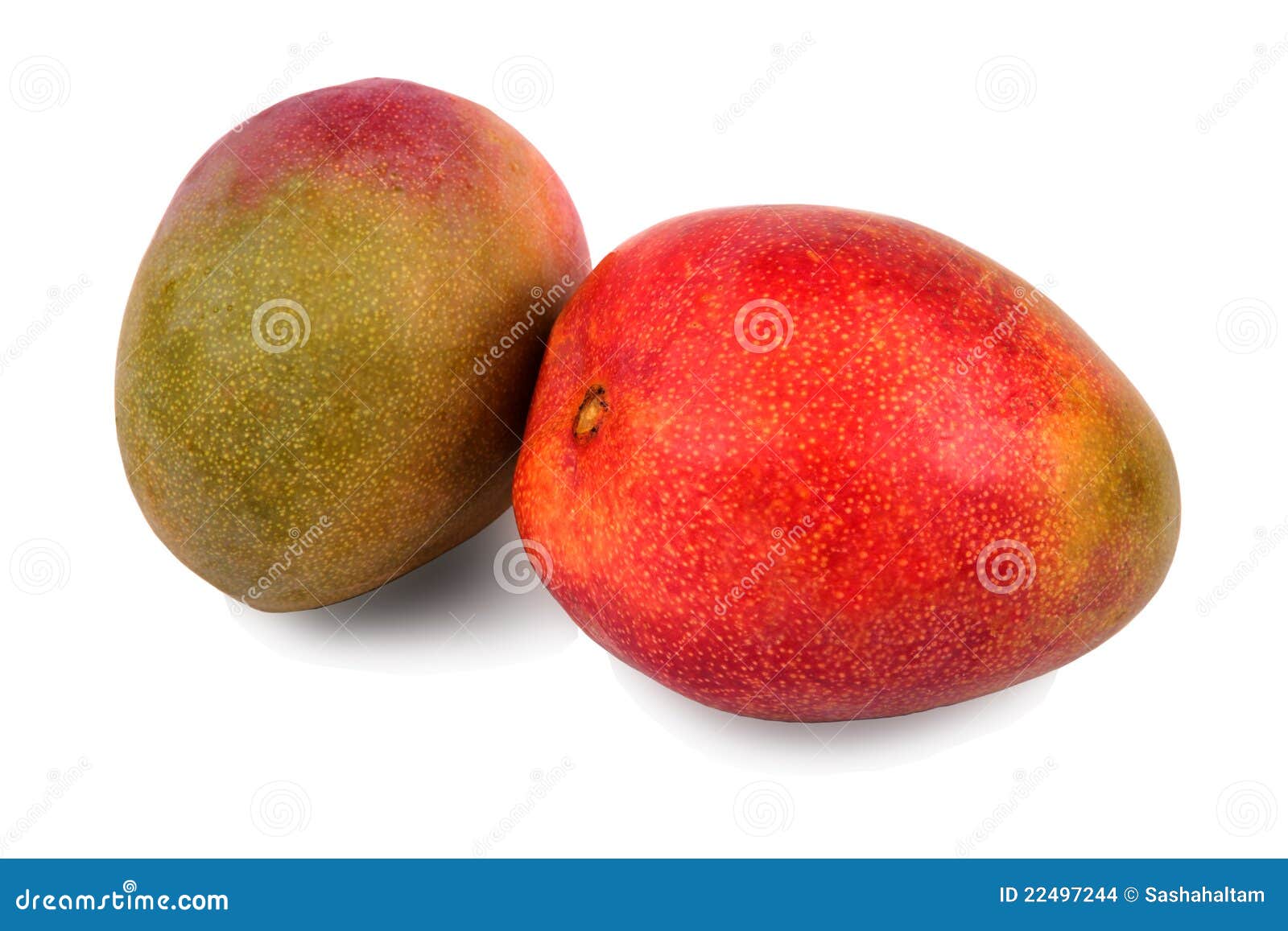 1,492 Two Mango Isolated Stock Photos - Free & Royalty-Free Stock ...