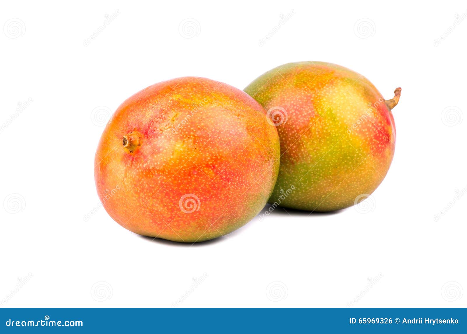 Two mango fruit stock photo. Image of color, refreshment - 65969326