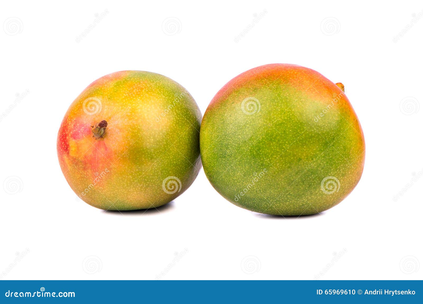 Two mango fruit stock photo. Image of mango, isolated - 65969610