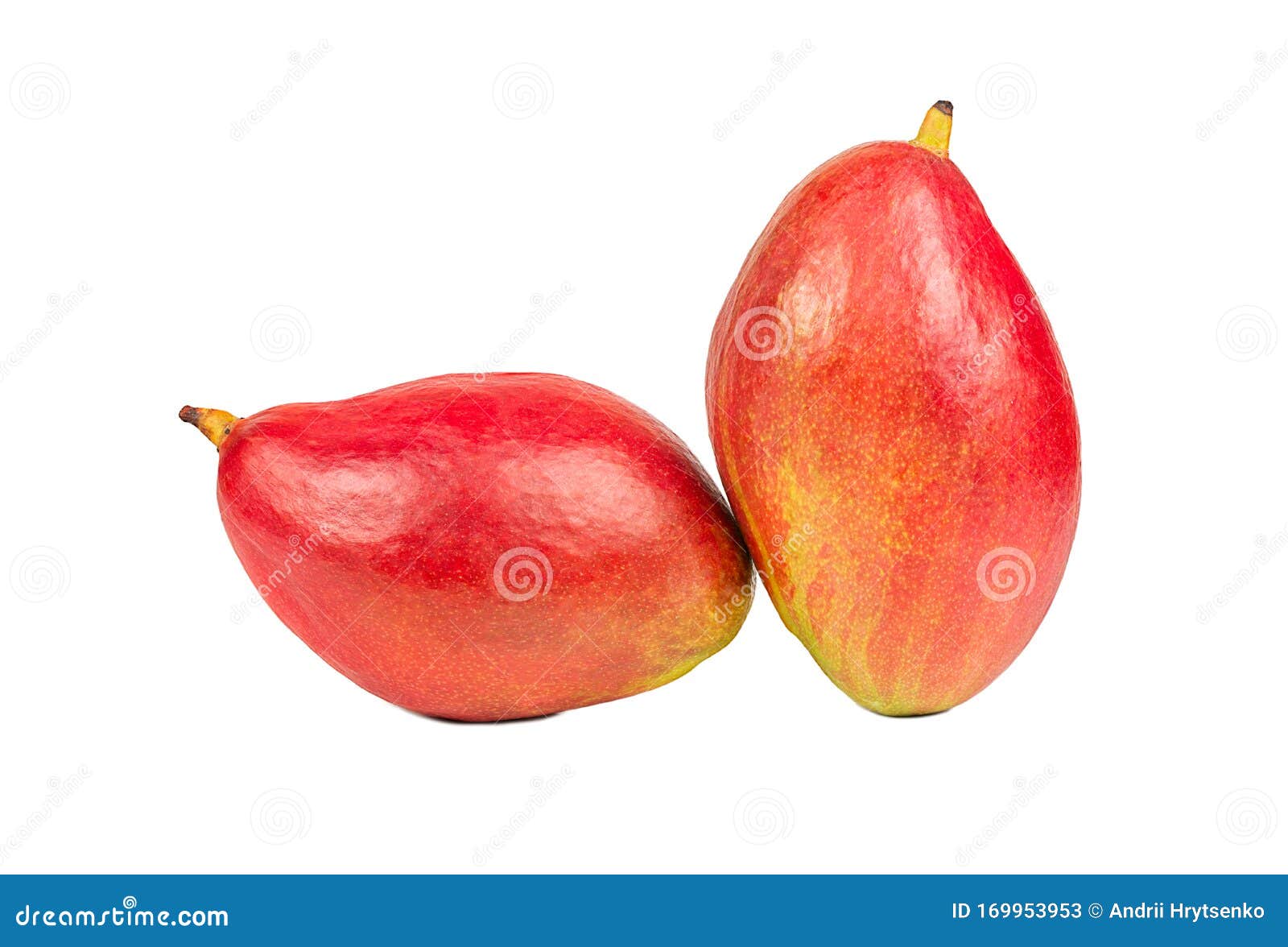 Two mango fruits stock image. Image of diet, cooking - 169953953