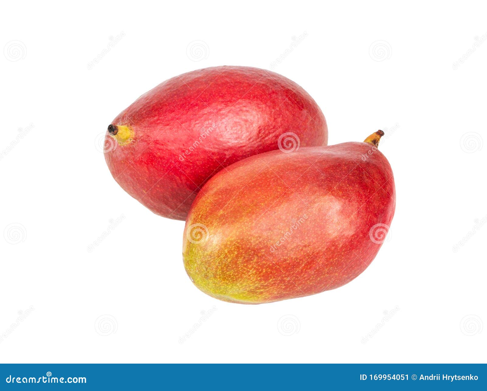 Two mango fruits stock image. Image of fresh, clipping - 169954051