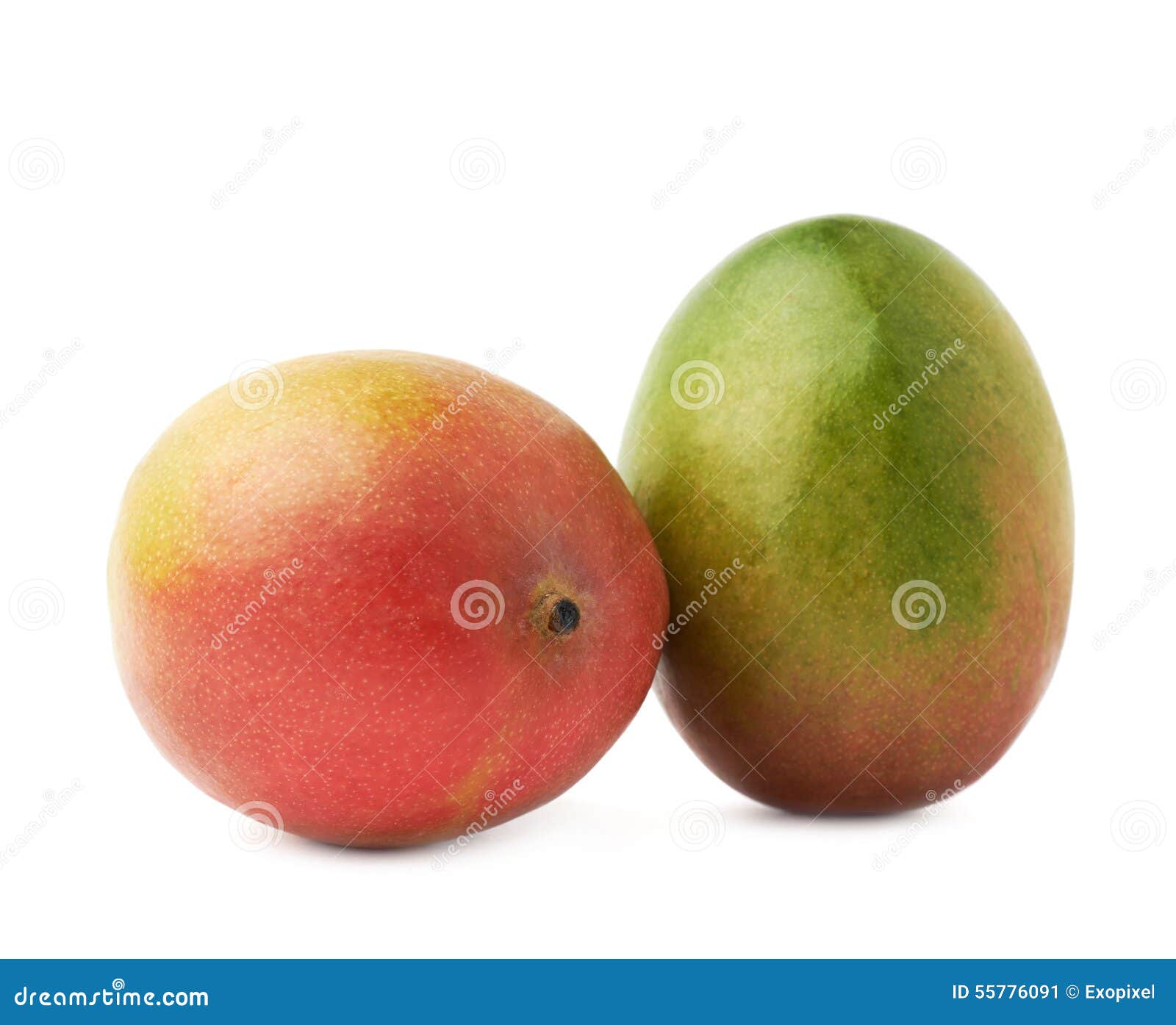 Two mango fruits isolated stock image. Image of fresh - 55776091