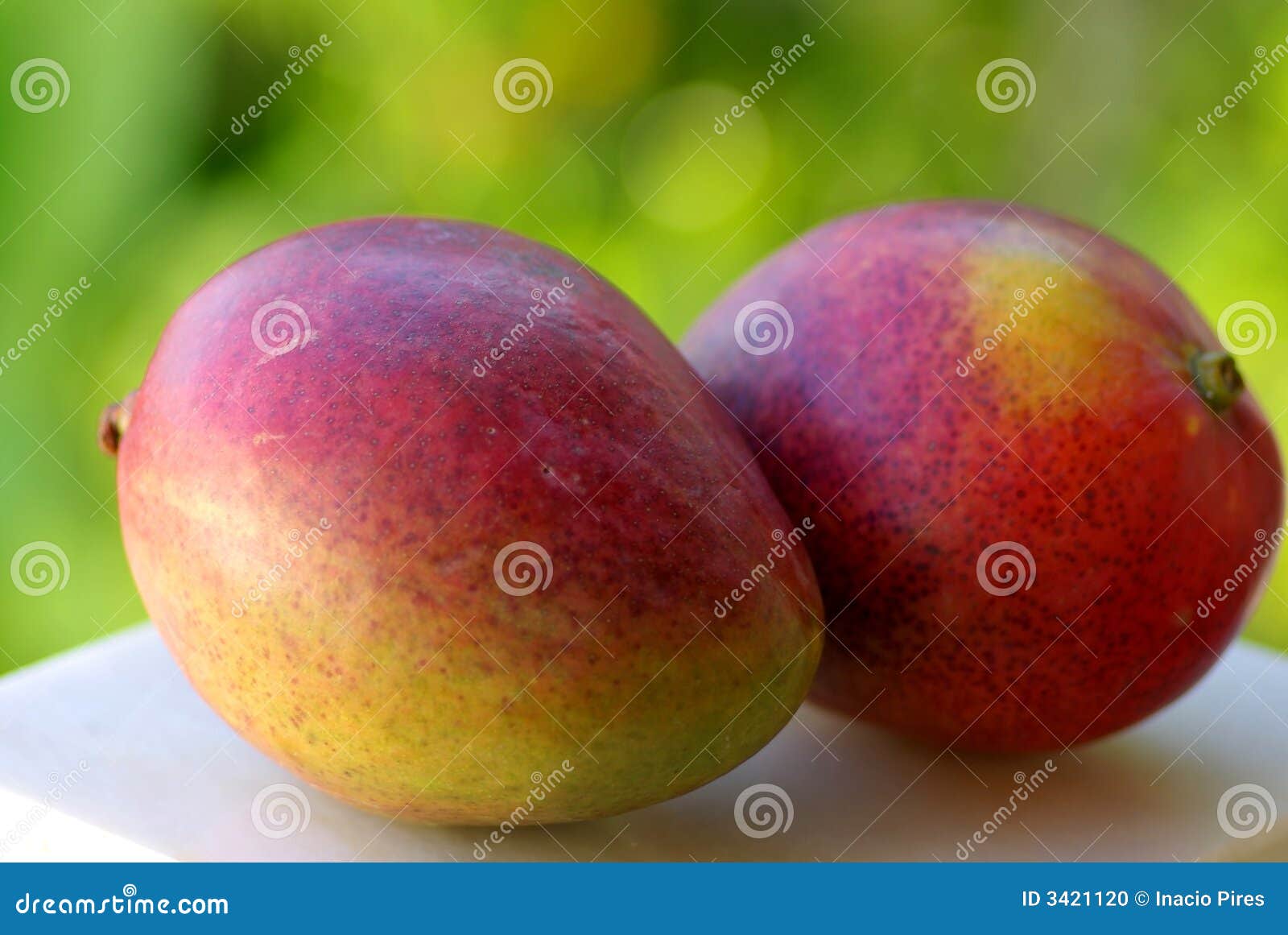 Two mangoes fruits stock photo. Image of stone, food, tropic - 3421120