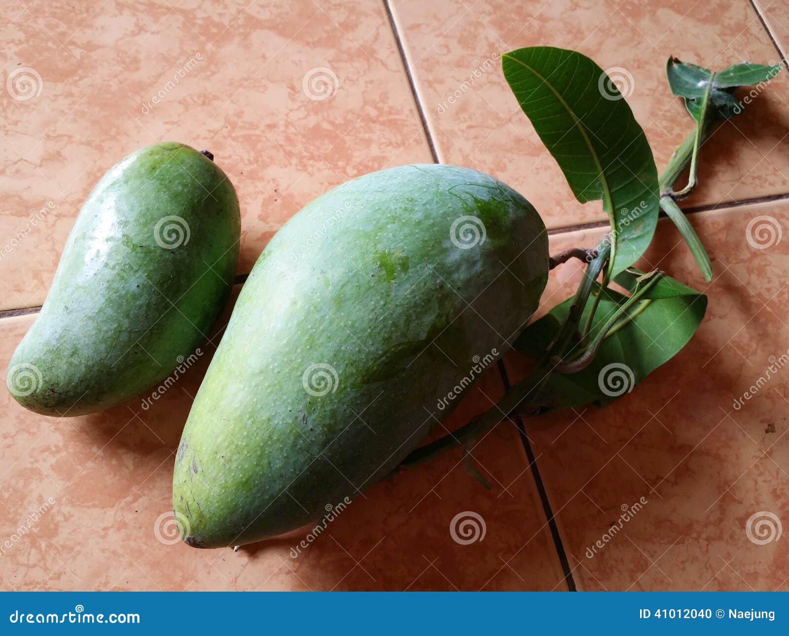 Two mangoes stock photo. Image of object, background - 41012040