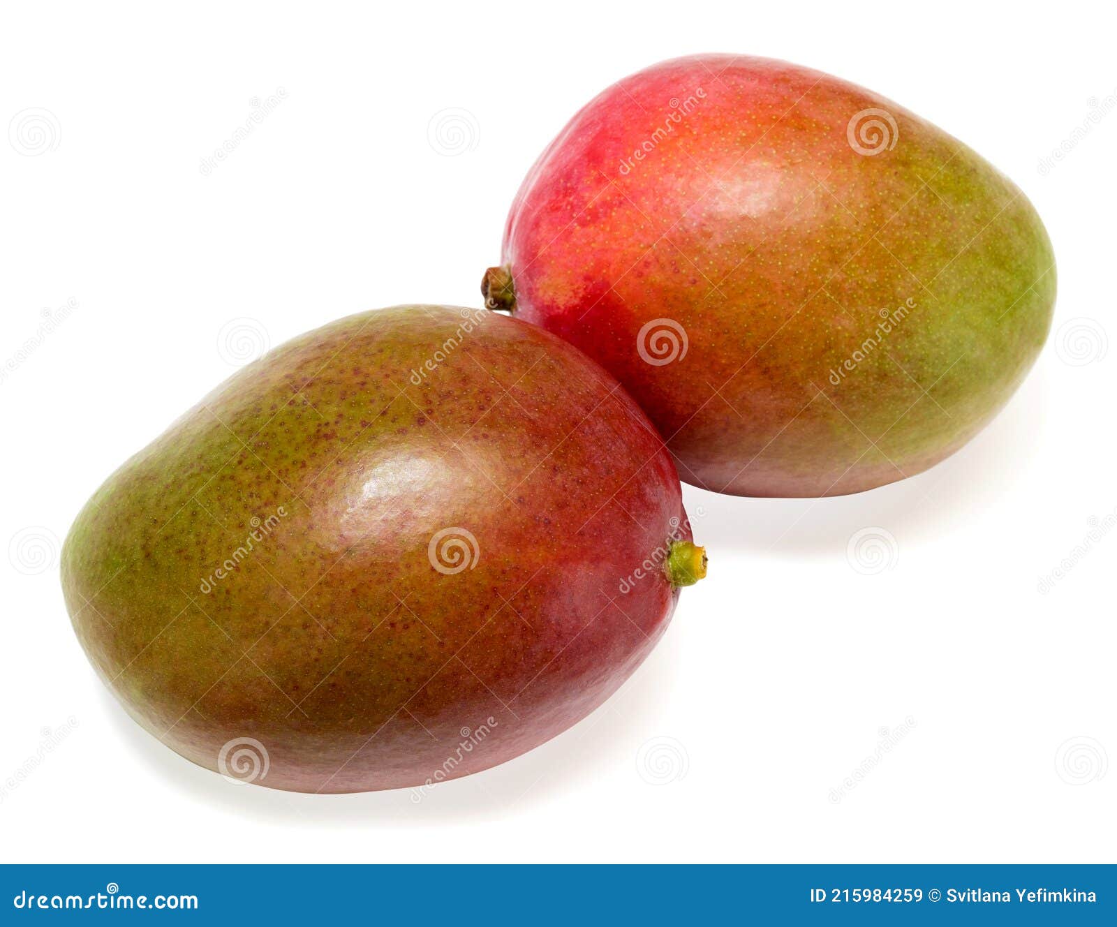 Two mangoes stock image. Image of full, group, organic - 215984259