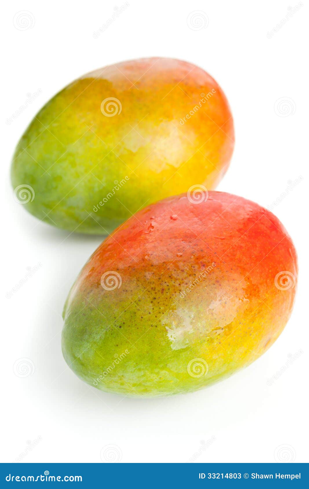 Two Mangoes Over White Background Stock Image - Image of object, fresh ...