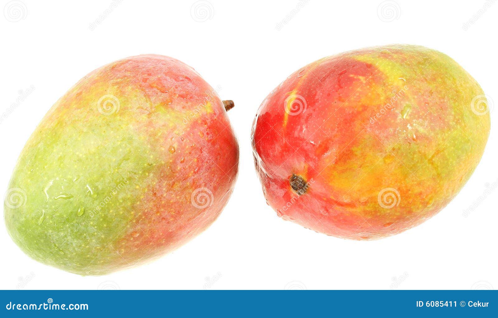 Two mangoes on white stock image. Image of dessert, slice - 6085411