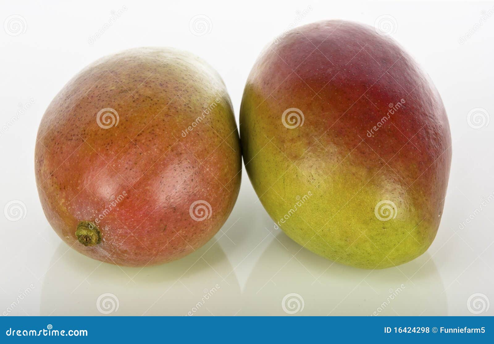 Two Mangos stock photo. Image of fresh, appetizing, ripe - 16424298