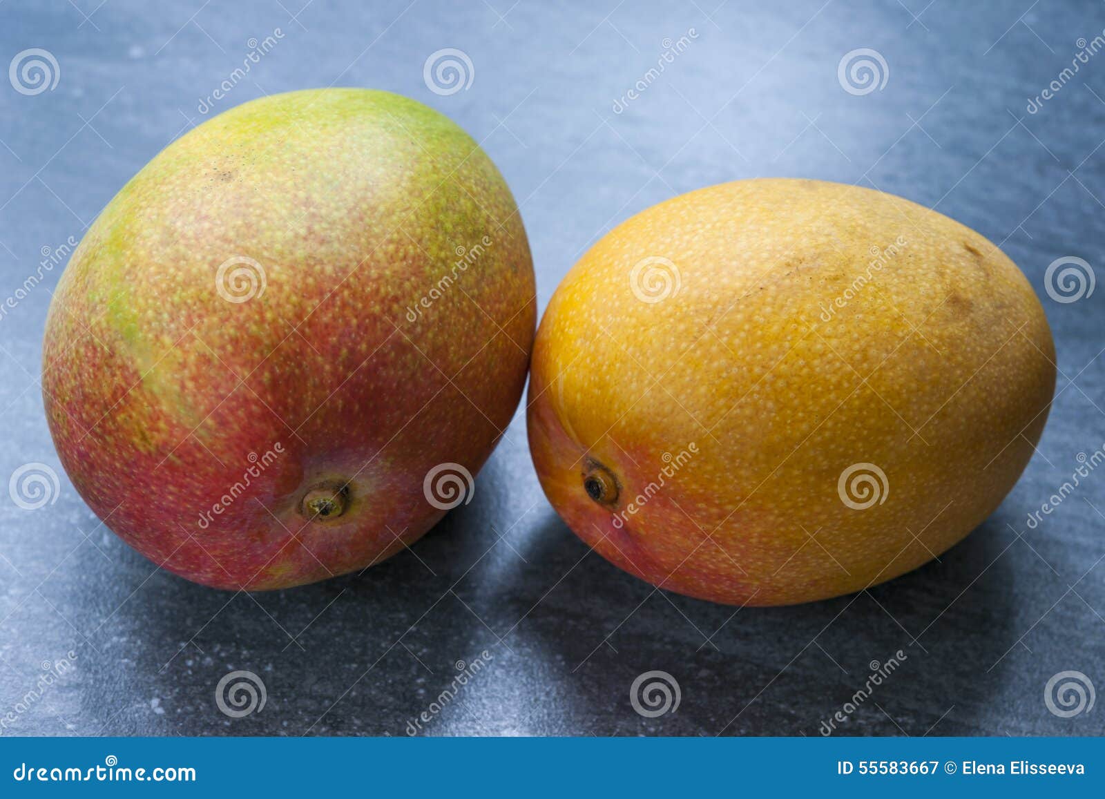 Two mangos stock image. Image of orange, blue, uncut - 55583667