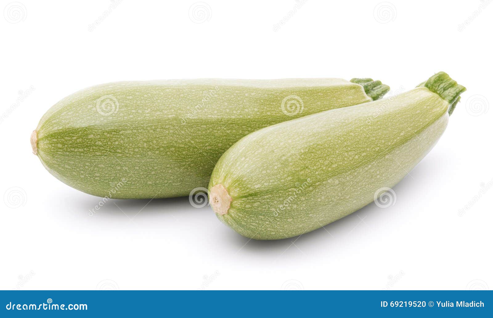 Two marrows isolated stock photo. Image of harvest, healthy - 69219520