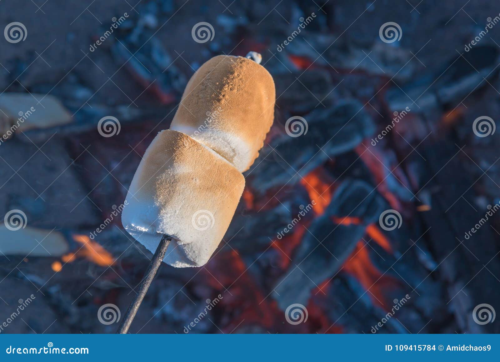 Two Marshmallows on Roasting Stick Browning Over Campfire Stock Photo ...