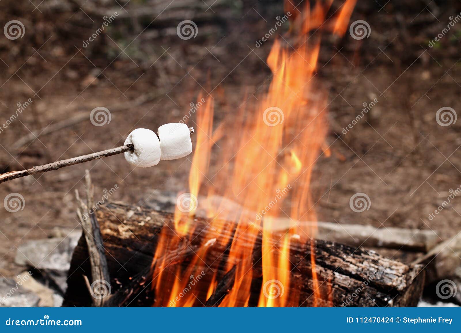 Two Marshmallows on a Stick Over a Bonfire Stock Photo - Image of flame ...