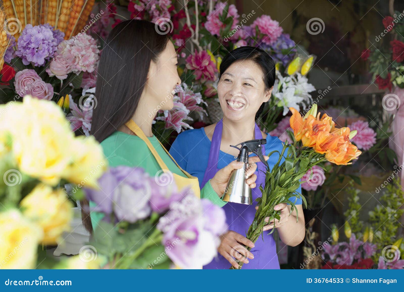 Two Mature Women Working in Flower Shop Stock Image - Image of casual ...