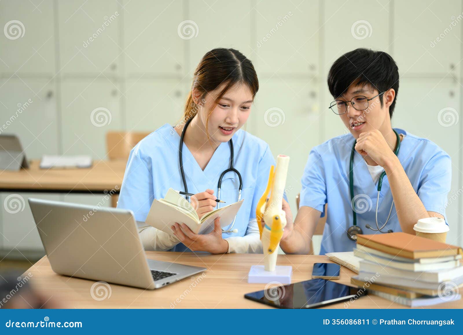 Two Medical Students Studying Anatomical Model of a Joint Together in a ...