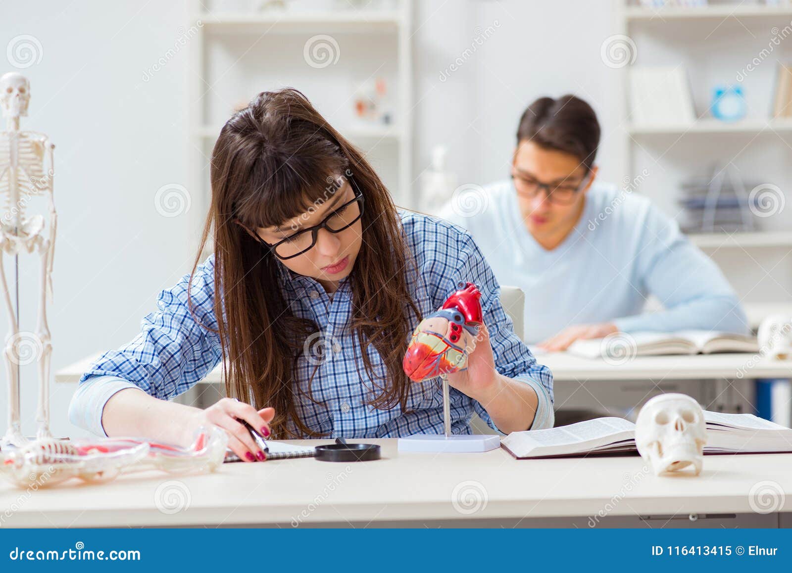The Two Medical Students Studying in Classroom Stock Image - Image of ...