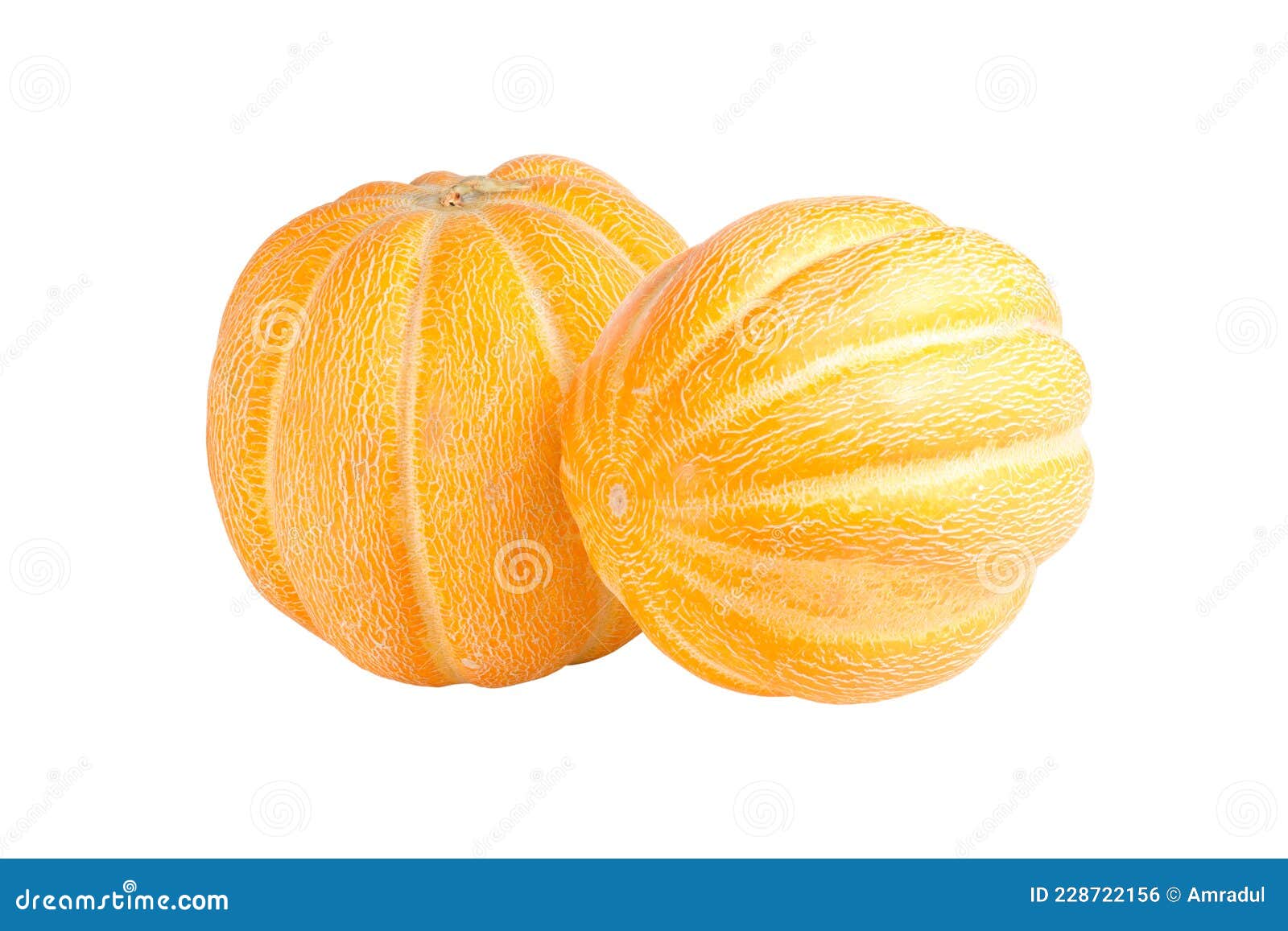 Two Melons on White Background. Fresh Vegetables. Front View Stock ...