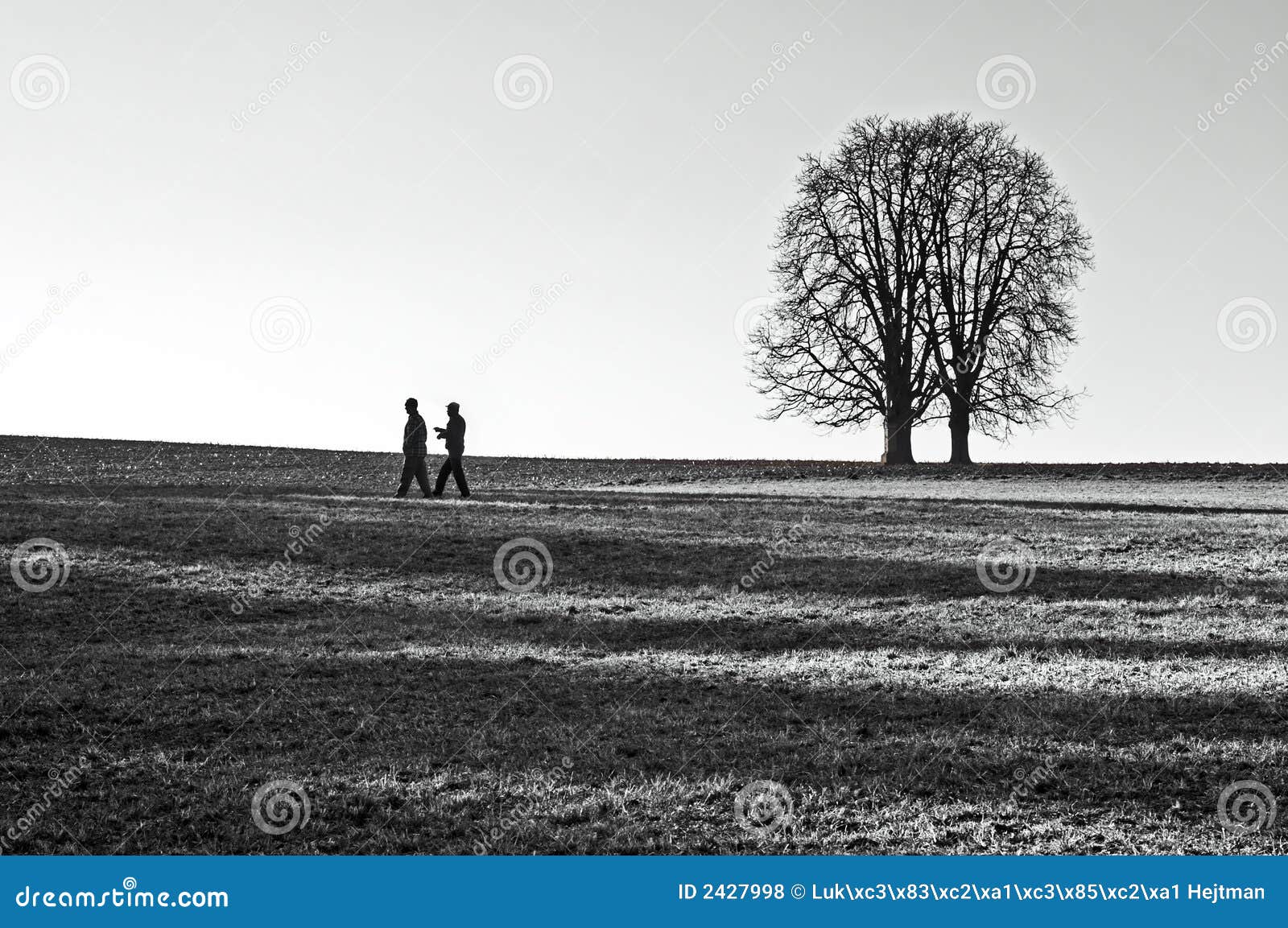Two men stock photo. Image of park, meadow, tree, grass - 2427998
