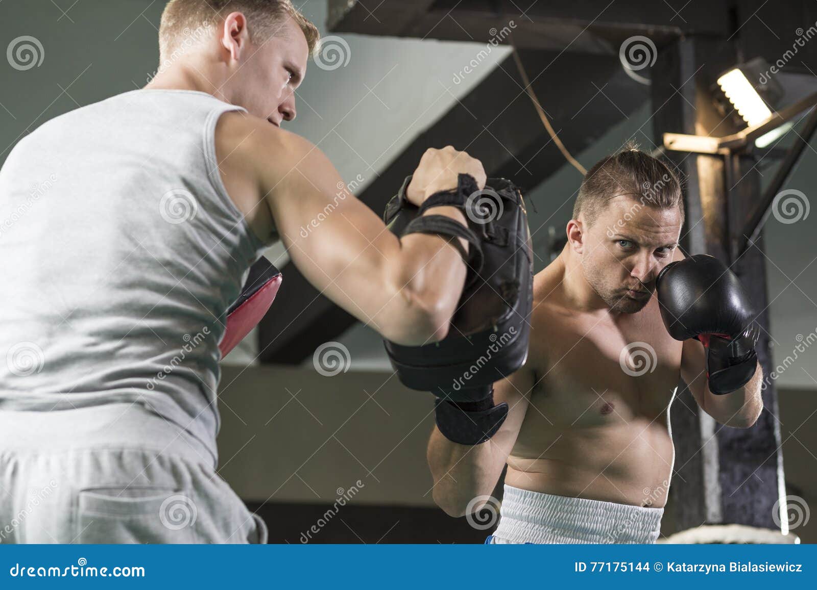 Two men boxing stock photo. Image of determination, boxer - 77175144