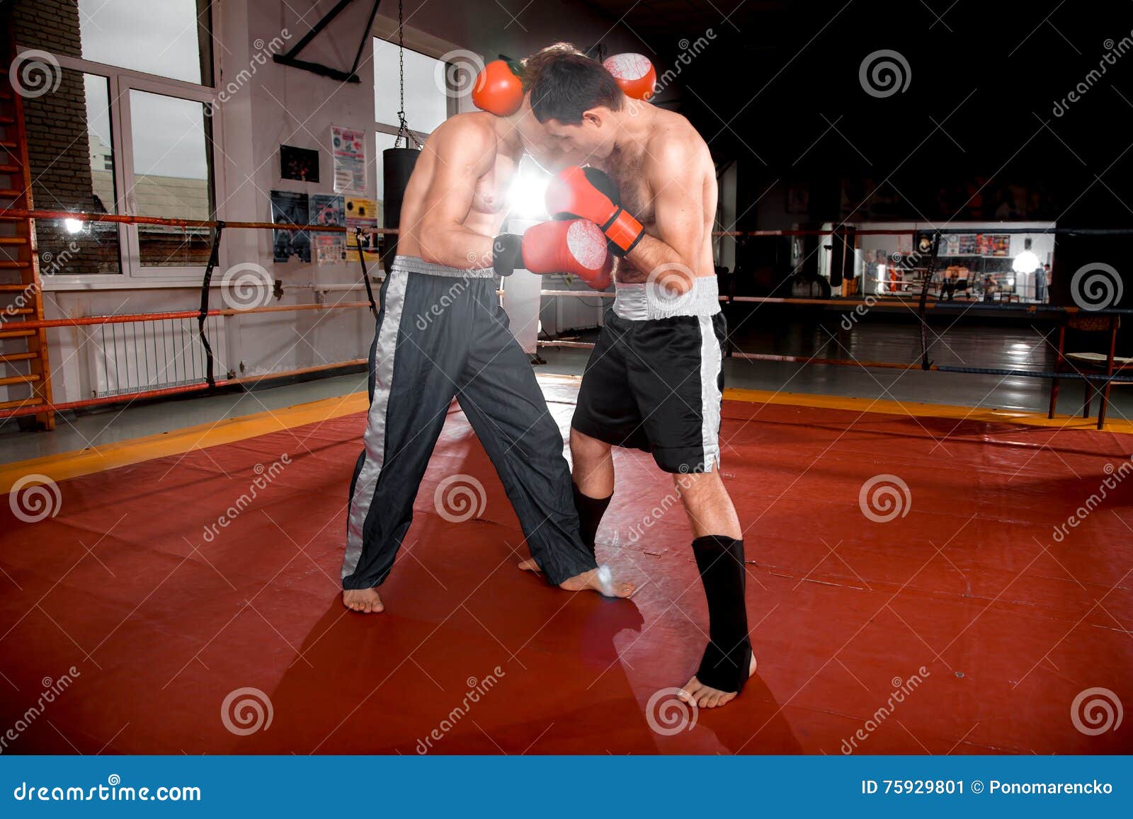 Two Men is Boxing on the Ring Stock Image - Image of glove, sports ...