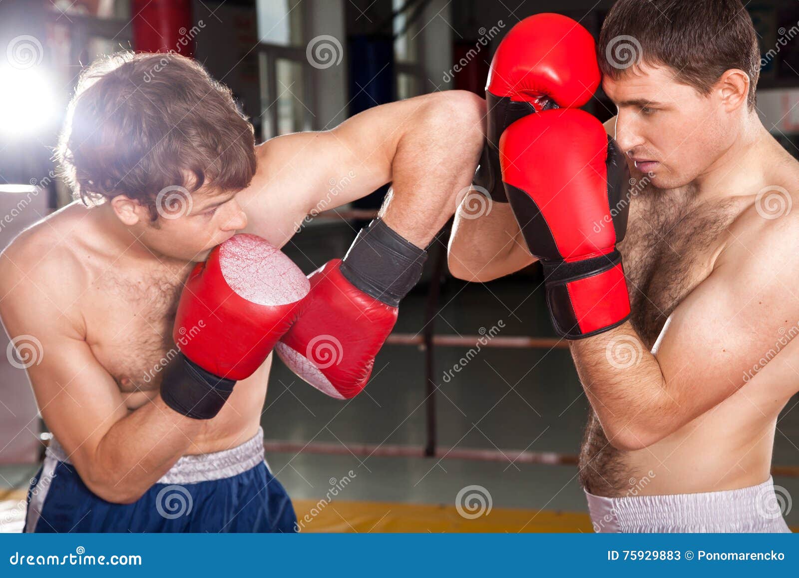 Two Men is Boxing on the Ring Stock Image - Image of kickboxing, boxing ...