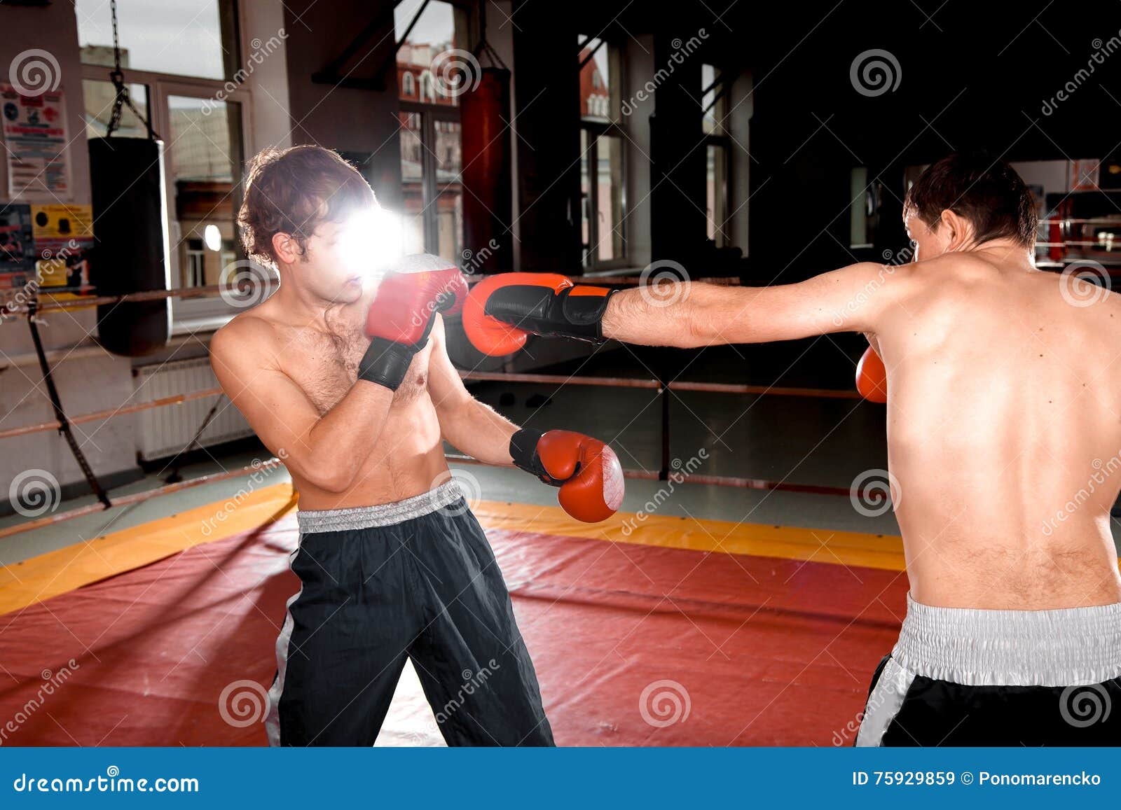 Two Men is Boxing on the Ring Stock Image - Image of sport, adult: 75929859