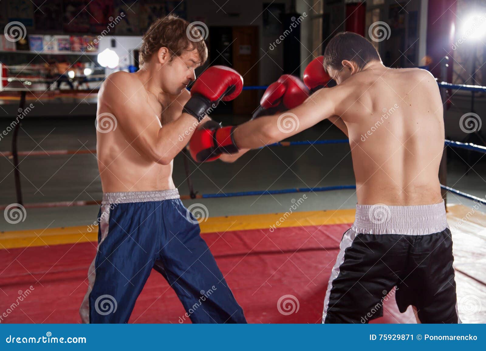 Two Men is Boxing on the Ring Stock Image - Image of rough, shorts ...