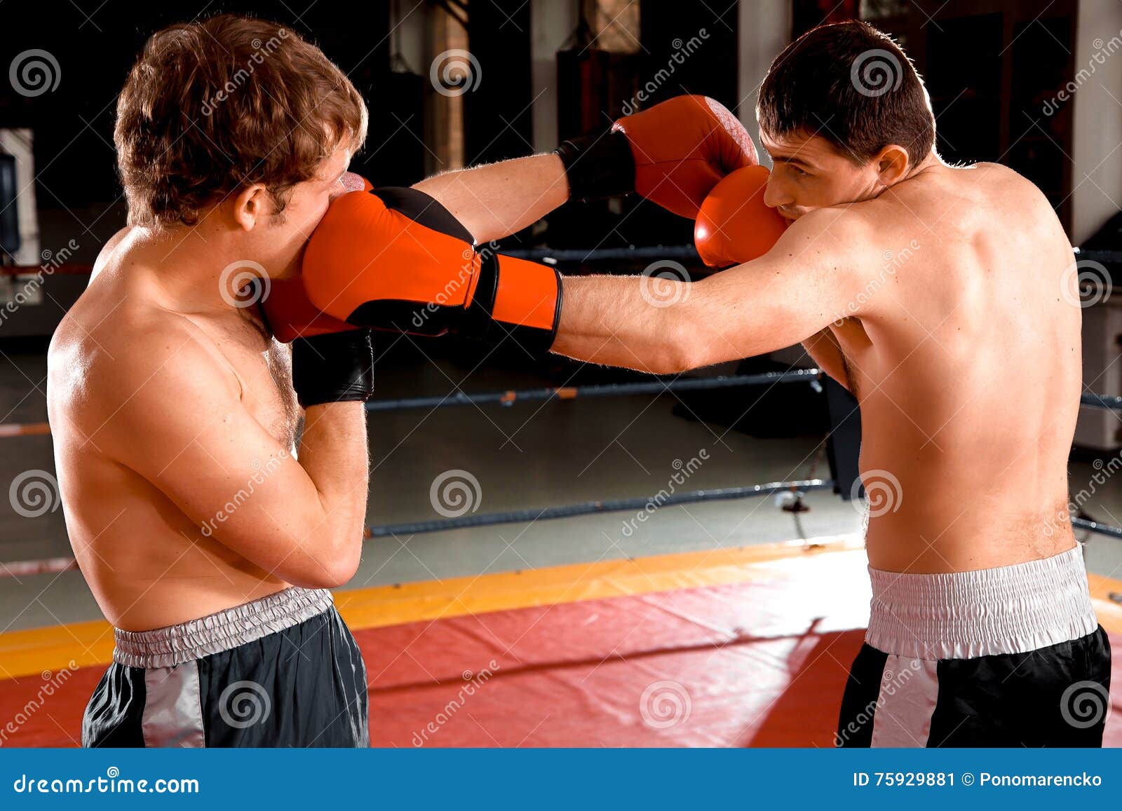 Two Men is Boxing on the Ring Stock Image - Image of fighting ...