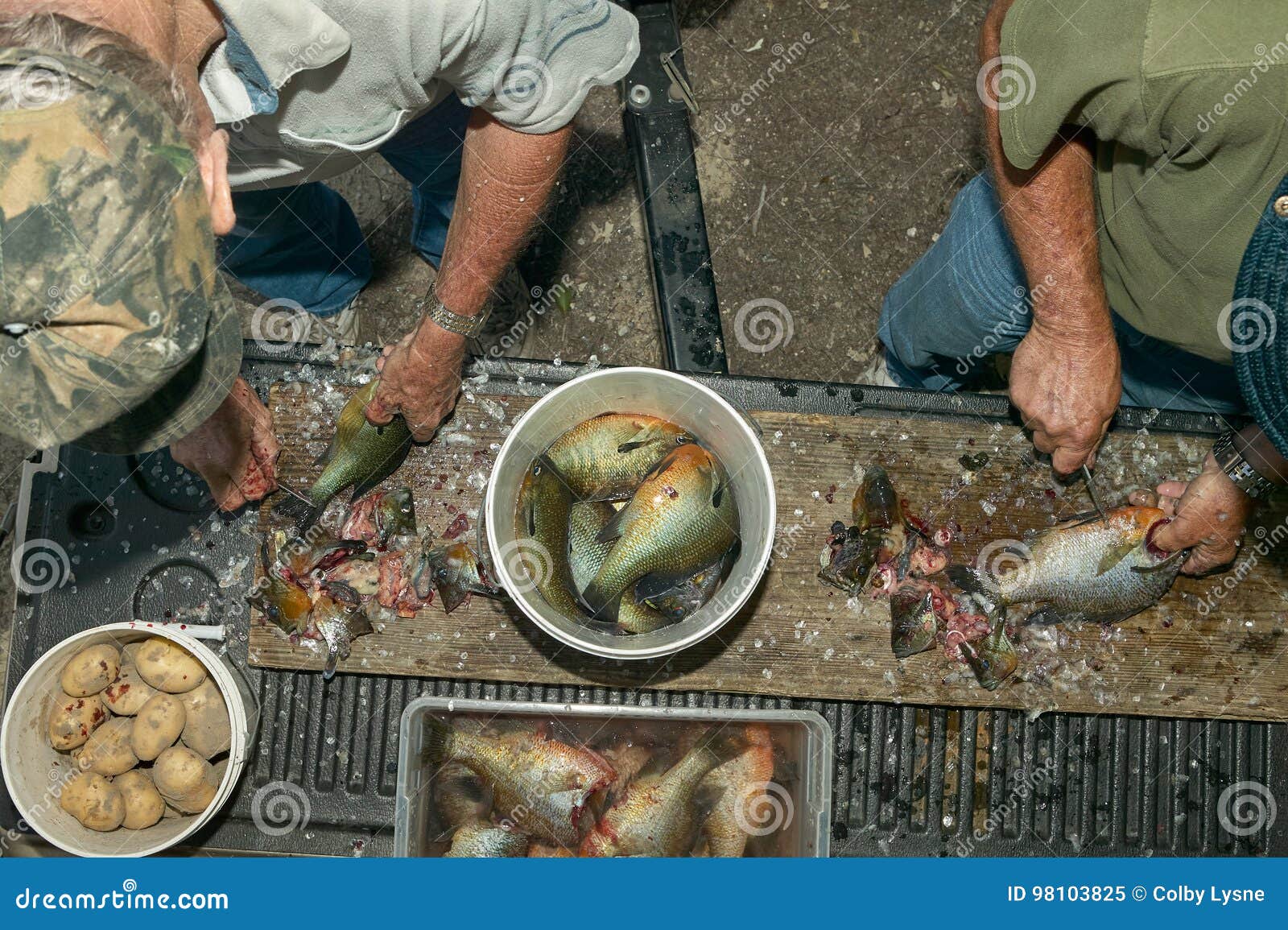 Two men cleaning fish stock image. Image of healthy, overhead - 98103825
