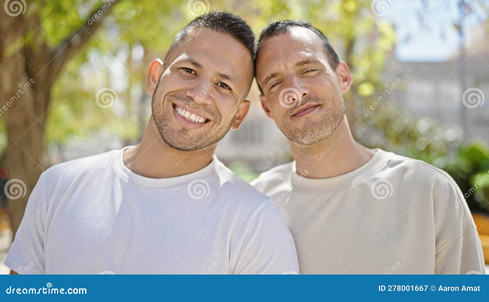 Two Men Couple Smiling Confident Standing Together at Park Stock Image ...