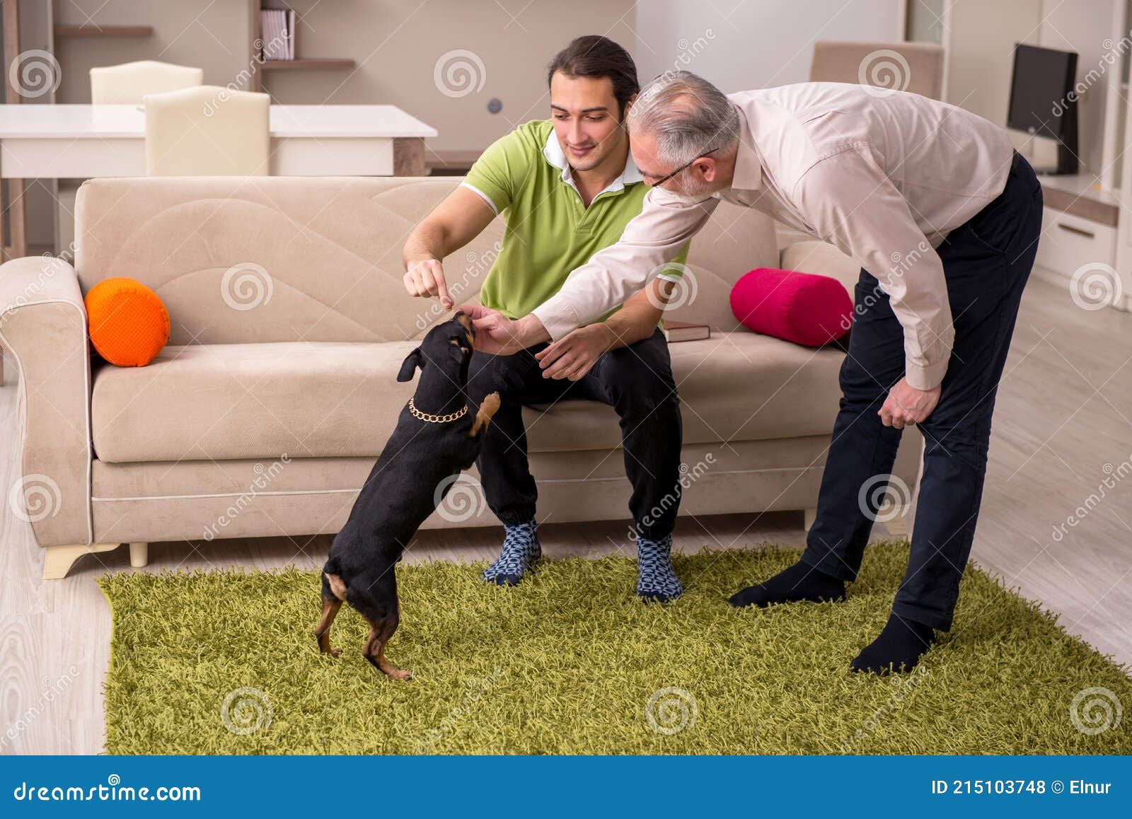 Two men with dog at home stock photo. Image of friend - 215103748